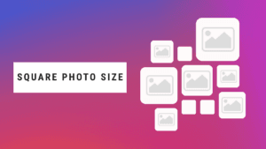Instagram Post Sizes Guide 2024 | Recurpost