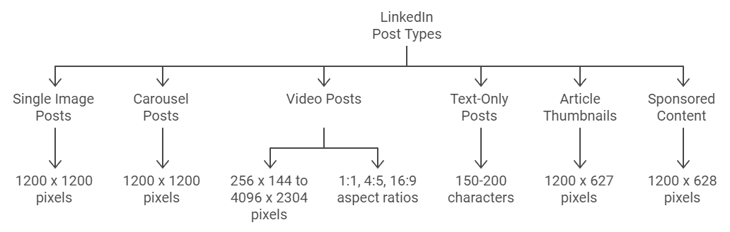 LinkedIn Post Size: Complete Image & Video Dimensions Guide